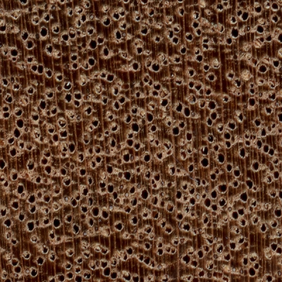 Keruing | The Wood Database (Hardwood)