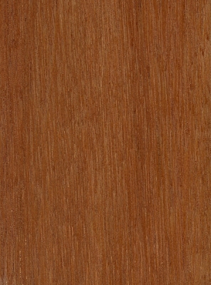Keruing | The Wood Database (Hardwood)