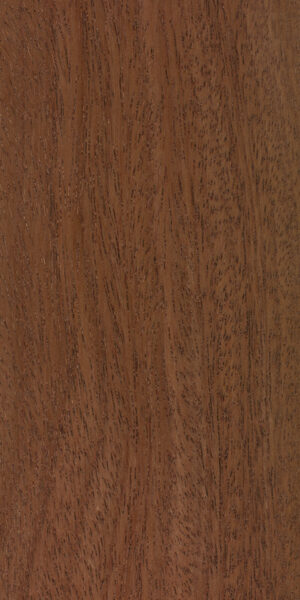 Dry Zone Mahogany | The Wood Database (Hardwood)