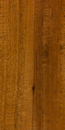 African Mahogany | The Wood Database