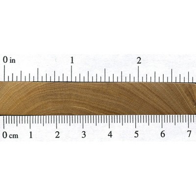Lancewood | The Wood Database (Hardwood)
