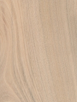 Freijo | The Wood Database - Lumber Identification (Hardwood)