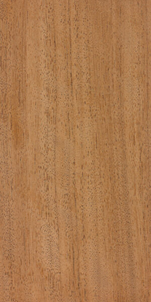 Bosse | The Wood Database (Hardwood)