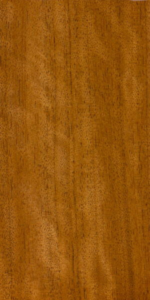 Bosse | The Wood Database (Hardwood)