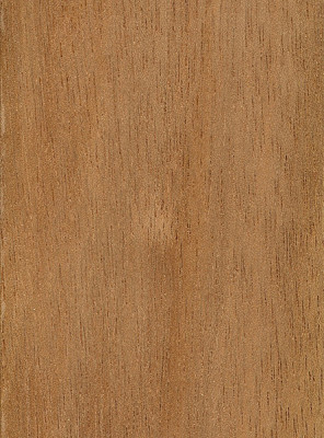 Light Red Meranti | The Wood Database (Hardwood)