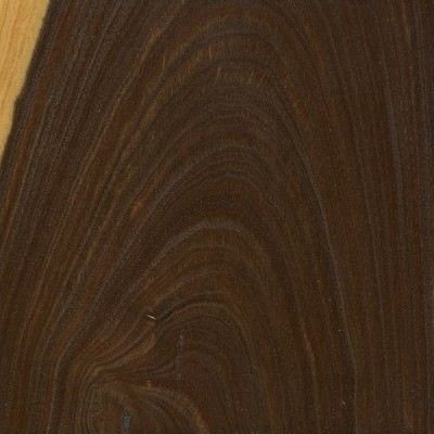Lignum Vitae | The Wood Database - Lumber Identification (Hardwood)