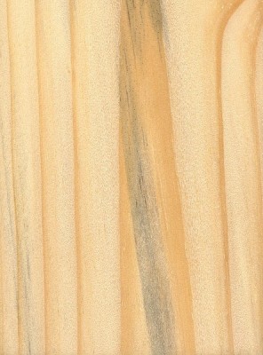 Loblolly Pine | The Wood Database (Softwood)