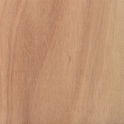 Lyptus® | The Wood Database (Hardwood)