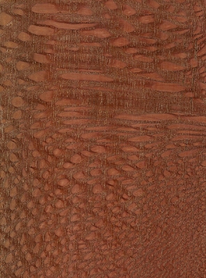 Macadamia Nut | The Wood Database (Hardwood)