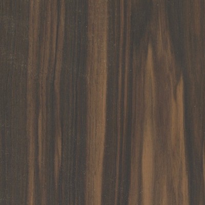 Ebony: Dark Outlook For Dark Woods? | The Wood Database