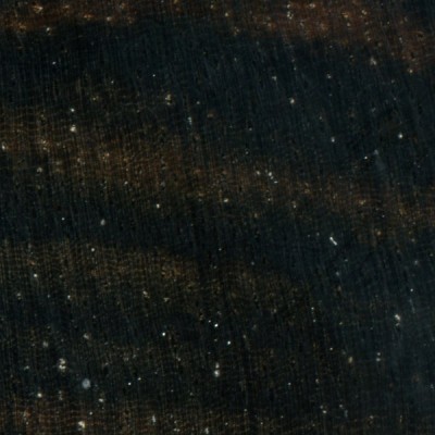 Macassar Ebony | The Wood Database (Hardwood)