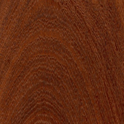 Machiche | The Wood Database (Hardwood)