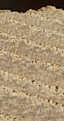 True Hickory and Pecan Hickory | The Wood Database