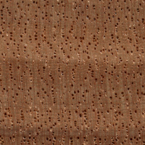 Makore | The Wood Database - Lumber Identification (Hardwood)