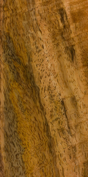 Mango | The Wood Database (Hardwood)