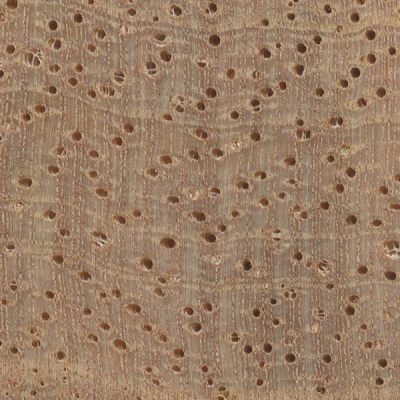 Mango | The Wood Database - Lumber Identification (Hardwood)