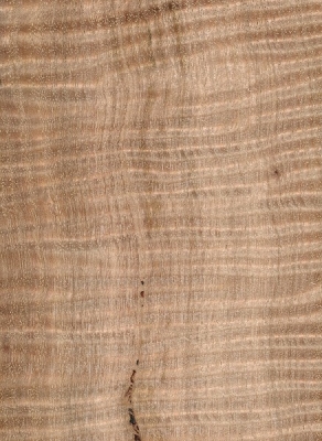 Messmate | The Wood Database (Hardwood)