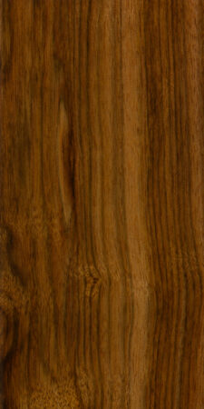 Chechen | The Wood Database (Hardwood)