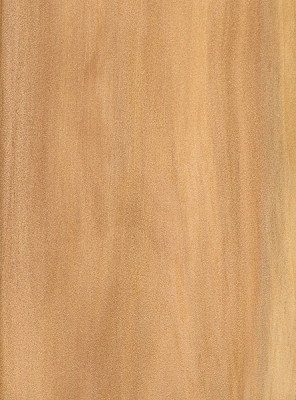 Mexican Cypress | The Wood Database (Softwood)