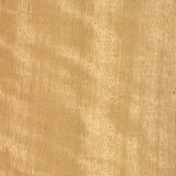 Movingui | The Wood Database - Lumber Identification (Hardwood)