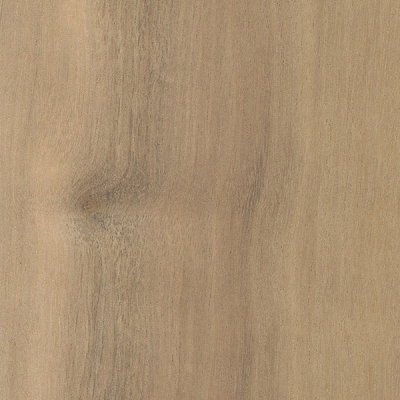 Oregon myrtle | The Wood Database (Hardwood)
