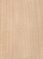 Norway Maple | The Wood Database - Lumber Identification (Hardwood)