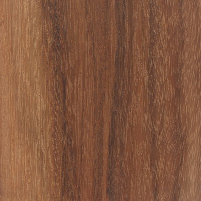 Macacauba | The Wood Database (Hardwood)