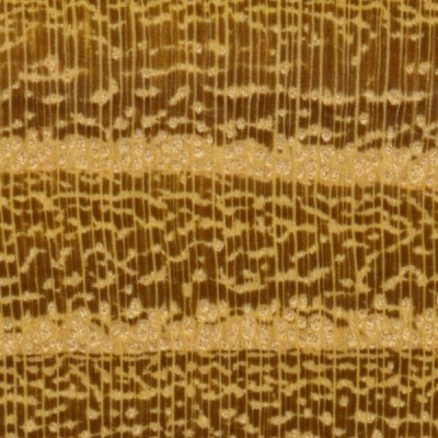 Osage Orange | The Wood Database (Hardwood)