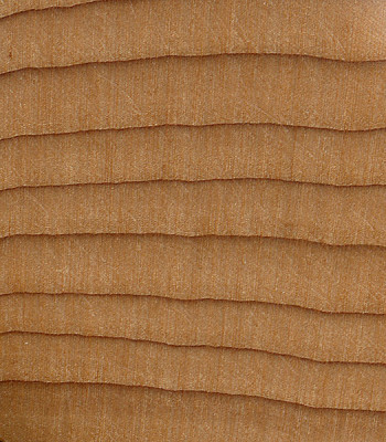 Pacific Yew | The Wood Database (Softwood)