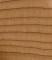 Pacific Yew | The Wood Database (Softwood)