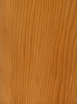 Pacific Yew | The Wood Database (Softwood)