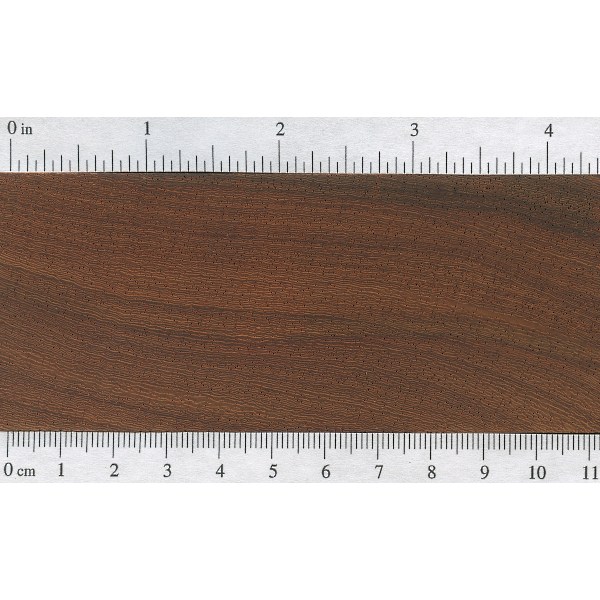 African Padauk | The Wood Database - Lumber Identification (Hardwood)