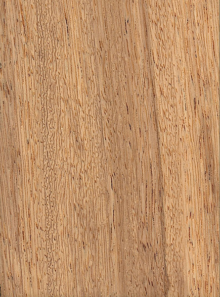 Partridgewood | The Wood Database - Lumber Identification (Hardwood)