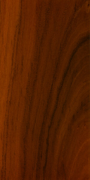 Brazilwood | The Wood Database (Hardwood)