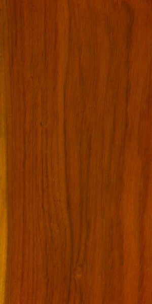 Brazilwood | The Wood Database (Hardwood)