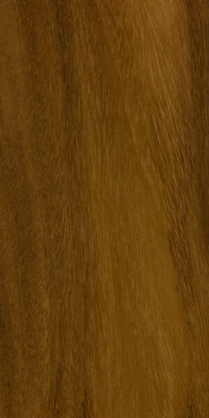 Afrormosia | The Wood Database (Hardwood)