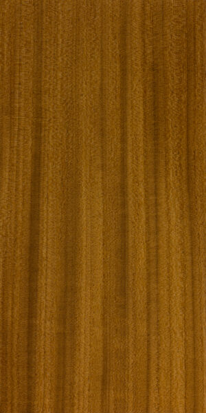 Afrormosia | The Wood Database (Hardwood)