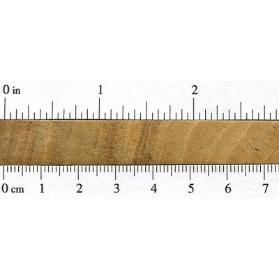 Persimmon | The Wood Database (Hardwood)