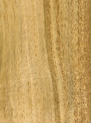 Persimmon | The Wood Database (Hardwood)