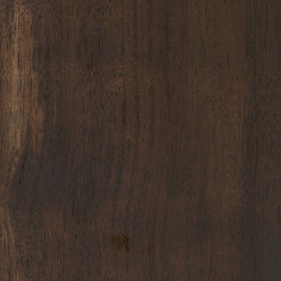 Ebony: Dark Outlook For Dark Woods? | The Wood Database