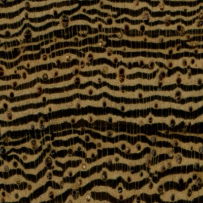 Pheasantwood | The Wood Database (Hardwood)