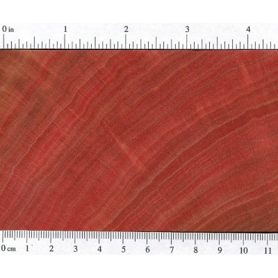 Pink Ivory | The Wood Database (Hardwood)