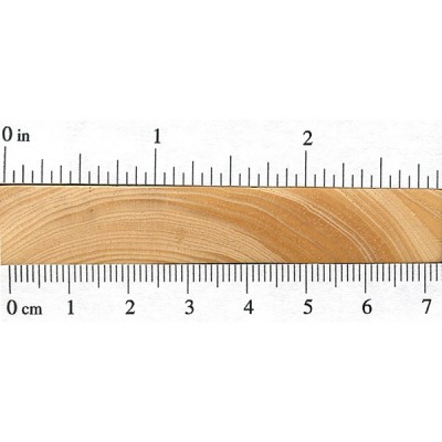 Pinyon Pine | The Wood Database (Softwood)