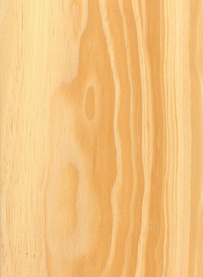 Pinyon Pine | The Wood Database (Softwood)