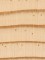 Softwood Anatomy | The Wood Database
