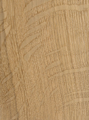 White Oak | The Wood Database - Lumber Identification (Hardwood)