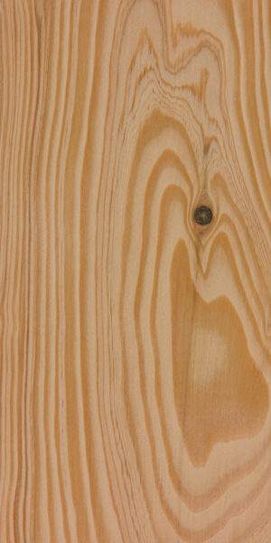 Douglas Fir | The Wood Database (Softwood)