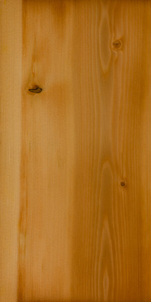 Douglas Fir | The Wood Database (Softwood)