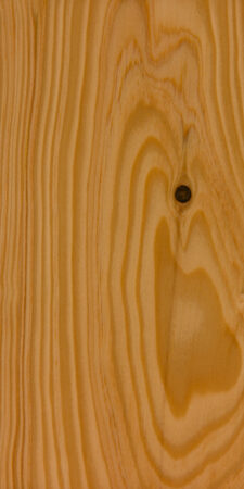 Douglas Fir | The Wood Database (Softwood)