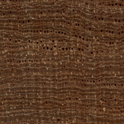 Pyinma | The Wood Database (Hardwood)